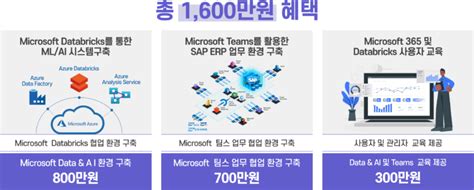 Sap 업무 환경 구축 서비스 엠클라우드브리지