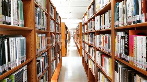 도서관 독서 책 배경화면 Library 사진이미지일러스트캘리그라피 원작가작가