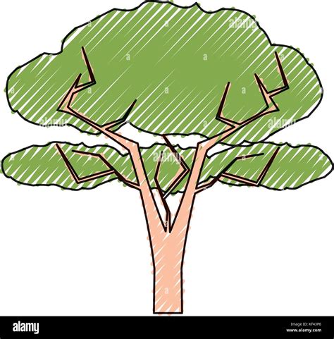 Tree Vector Illustration Stock Vector Image And Art Alamy
