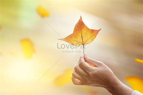 문학 가을 배경 배경 사진 및 창의적인 일러스트 무료 다운로드 Lovepik