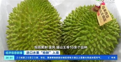 【经济信息联播】进口水果“抢鲜”入境 马来西亚鲜榴莲首次输华 我国进口水果品种持续扩大腾讯新闻
