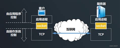 Lv7 嵌入式开发 网络编程开发 06 Socket套接字及tcp的实现框架 Csdn博客 Lv7 嵌入式开发 网络编程开发 06 Socket套接字及tcp的实现框架 Csdn博客