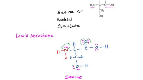 Amino Acid Serine Lewis Structure At Christy Nathan Blog