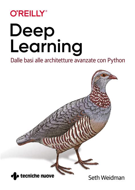 Deep Learning Dalle Basi Alle Architetture Avanzate Con Python Weidman Seth Viscardi