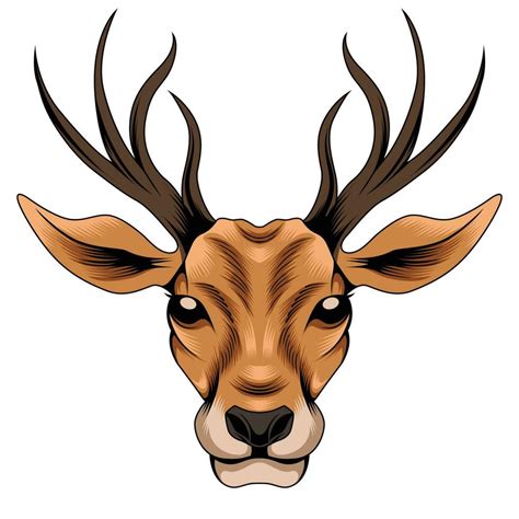 Deer Head Vector Illustration 23368297 Vector Art At Vecteezy