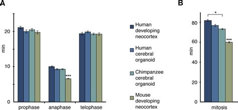 Figures And Data In Differences And Similarities Between Human And Chimpanzee Neural Progenitors