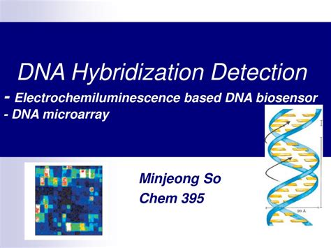 Ppt Dna Hybridization Techniques For Genetic Sequencing Powerpoint Presentation Id9125705