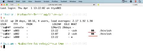 W Command Output Is Garbled Under Oh My Zsh · Issue 9773 · Ohmyzsh