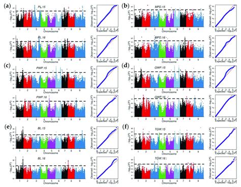 Manhattan And Quantile Quantile Plots Performed By Tassel 50 To