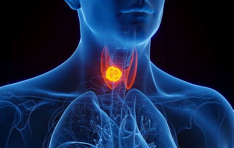 Endocrine Disruptor New Hazard Classes For Clp Regulation Team Mastery