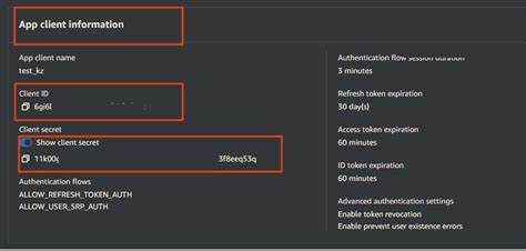 Crush11wiki Cognitoclientidsecretpng