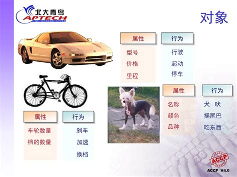 目标 流程控制 字符串处理 C 的类和对象 C 访问修饰符 C 构造函数和析构函数 Ppt Download