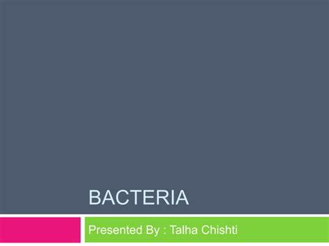 Bacteria Ppt