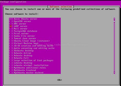 服务器架设笔记——编译apache及其插件apache 插件开发 Make Csdn博客