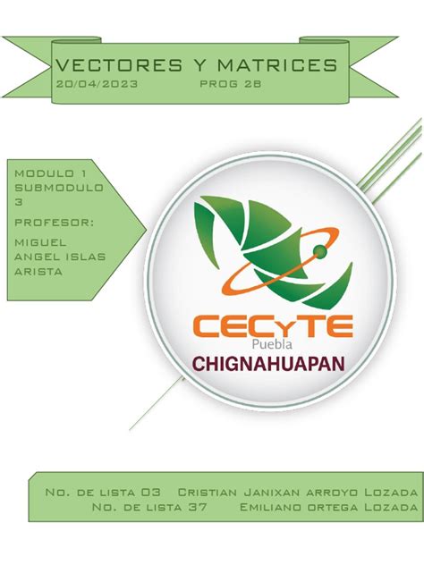 Matrices Y Vectores 2 Pdf Algoritmos Y Estructuras De Datos