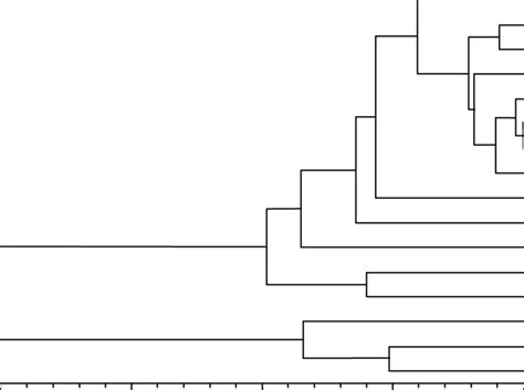 Genetic Relationship Between V Vexillata And Other Vigna Accessions Download Scientific