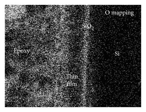 Epma Analyzed Result A The Cross Section Sem Micrograph Of The Tfcno
