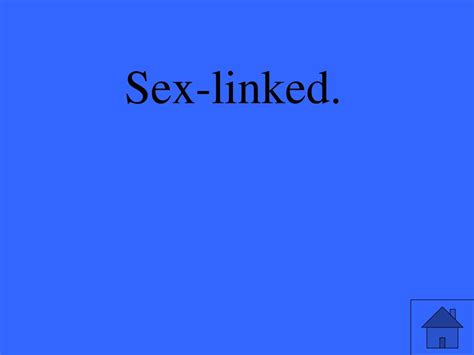 Review Pedigrees Sex Linked Genetic Randoms Anything Under The Sun Ppt Download
