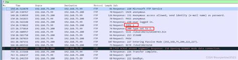 Java搭建ftp服务端通过type I指令不能获取二进制文件ftp Type I Csdn博客