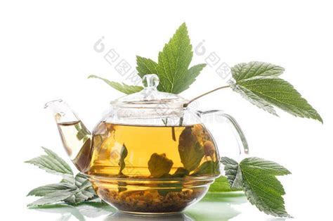用醋栗叶制成的药茶图片 包图网企业站
