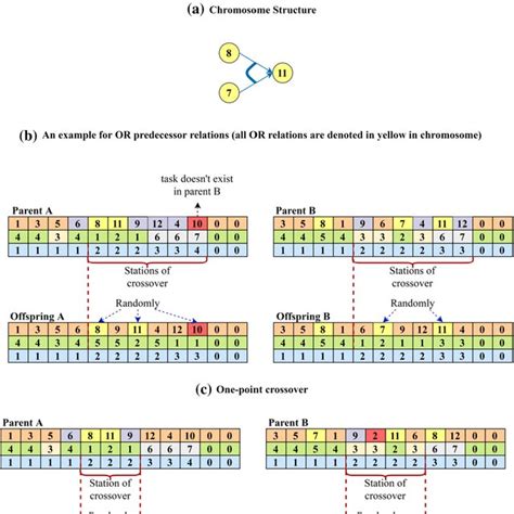 Chromosome Structure And Crossover Operators Download Scientific Diagram
