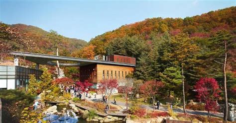 곤지암 리조트 화담숲 이야기 공모전 개최