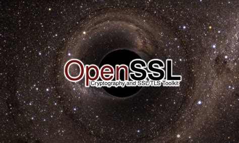 Un Bug Di Openssl Può Causare Un Dos Del Sistema