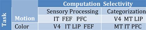 Computation Selectivity For Each Cortical Area And Task Download