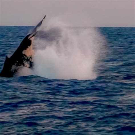 Creative Ecologies Research Cluster