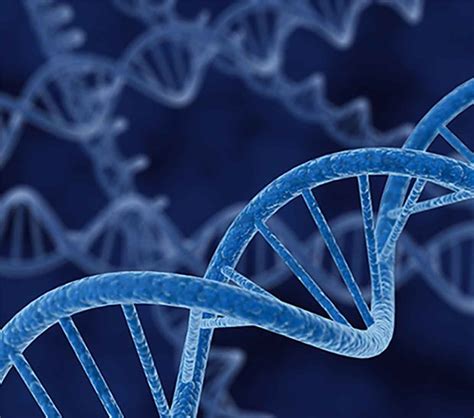 Starting Out Right The Crucial Role Of Sample Preparation Life In The Lab