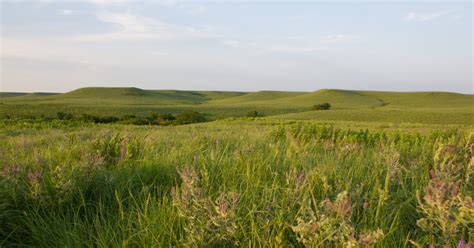 A Coordinated Approach For Grassland Conservation Us Fish