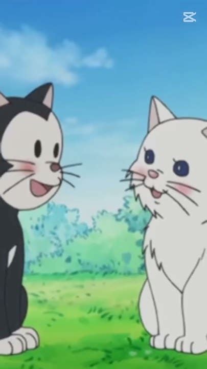 Tik Tok Doreemon Youtube