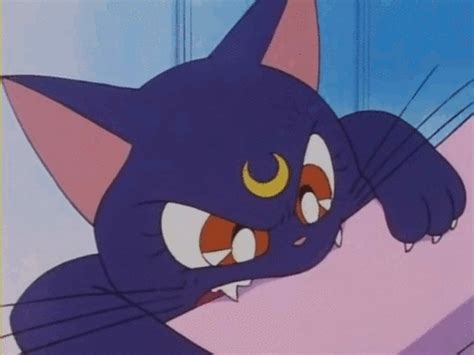 Luna Bite Sailormoon Sailor Moon Cat Sailor Moon  Sailor Moon