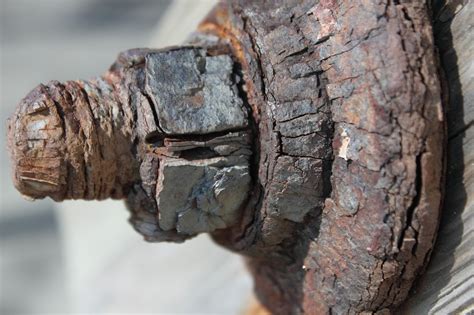 Rust Bolt Iron Free Photo On Pixabay Pixabay