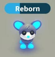 Mouse Adopt Me Wiki Fandom