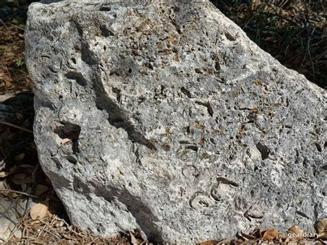 TCL Stylus G Review An Integrated Stylus Sets This Affordable Option Apart Gear Diary