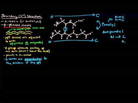 Beta Pleated Sheet Parallel Vs Antiparallel