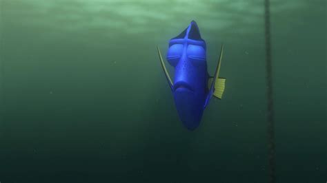 Finding Nemo 2003 Movies Screencaps