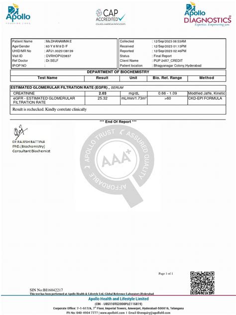 apollo report pdf science and mathematics