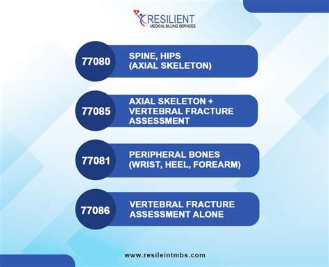 Ultimate Guide On Cpt Code 77080 Description To Dxa Scan Billing
