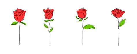 빨간 장미의 단일 윤곽선 그림 꽃 봉오리와 색 반점이있는 장식 아름 다운 영어 정원 장미 4 개 세트 발렌타인 데이에 대 한 미니멀 한 손으로 그린 스케치벡터 그림입니다