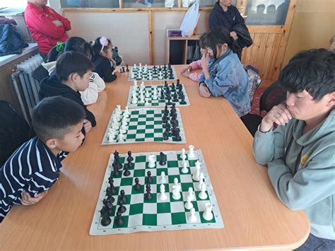 ШАТРЫН ТЭМЦЭЭН АМЖИЛТТАЙ БОЛЛОО