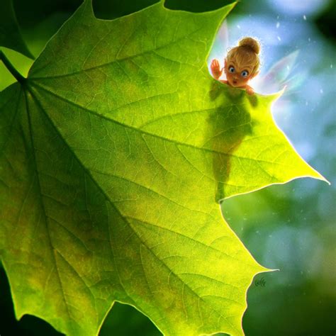Fantasy Art Tinkerbell 2d Digital Fantasycoolvibe Digital Art