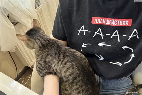 Яндекс Практикум сервис онлайн образования «Курс «Специалист по Data Science опыт