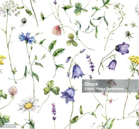 수채화 초원 꽃은 카모마일 수레 국화 초롱꽃 및 라벤더의 매끄러운 패턴입니다 흰색 배경에 격리된 손으로 그린 꽃 그림 디자인 인쇄 직물 또는 배경용 야생화에 대한 스톡 벡터