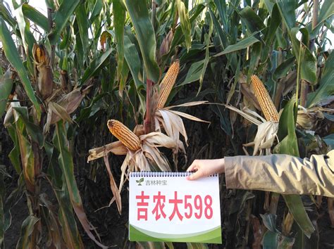 联系我们利博娱乐公司客服电话19188566669（首页）