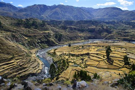 Colca Canyon Arequipa