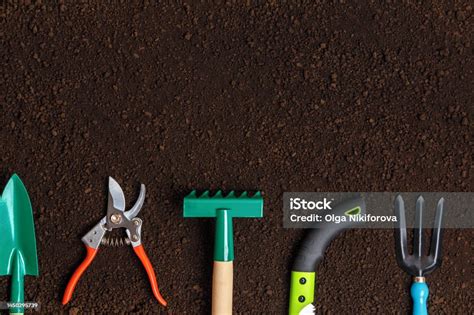 지상에서 작업하기위한 정원 도구 삽 가지 치기 갈퀴 쇠톱 포크 0명에 대한 스톡 사진 및 기타 이미지 0명 가위 가지치기 가위 Istock