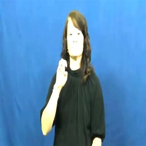 ASL Object Detection Dataset V Pm By MajorProject