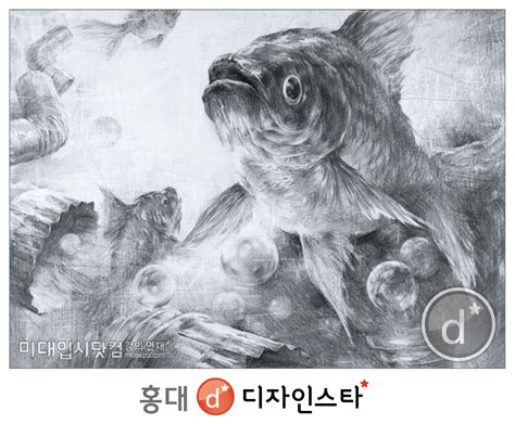 소묘실기 홍대앞 디자인스타 미술학원 그림 그리는 방법 연필 드로잉 금붕어
